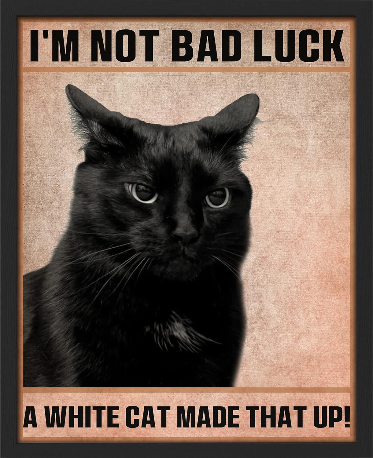 AAzaqTin-Framed I'm Not Bad Luck, Black Cat Wall Art, Funny Poster Wall ...