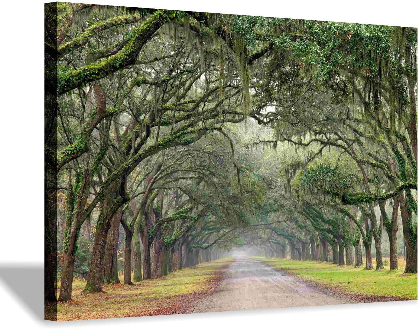 AAzaqTin-Green Forest Landscape Wall Art: Nature Canvas Oak Tree Lined ...
