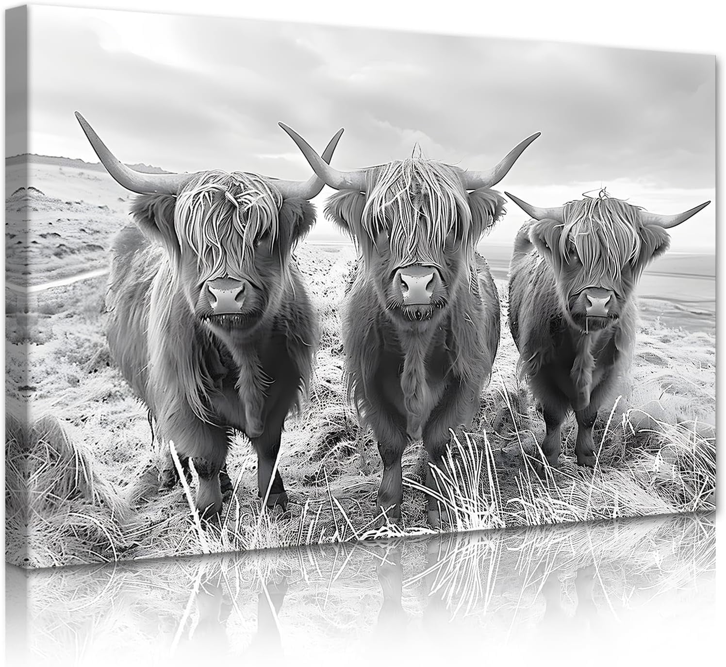 AAzaqTin-Highland Cow Wall Art - Framed Cow Canvas Print Black and ...