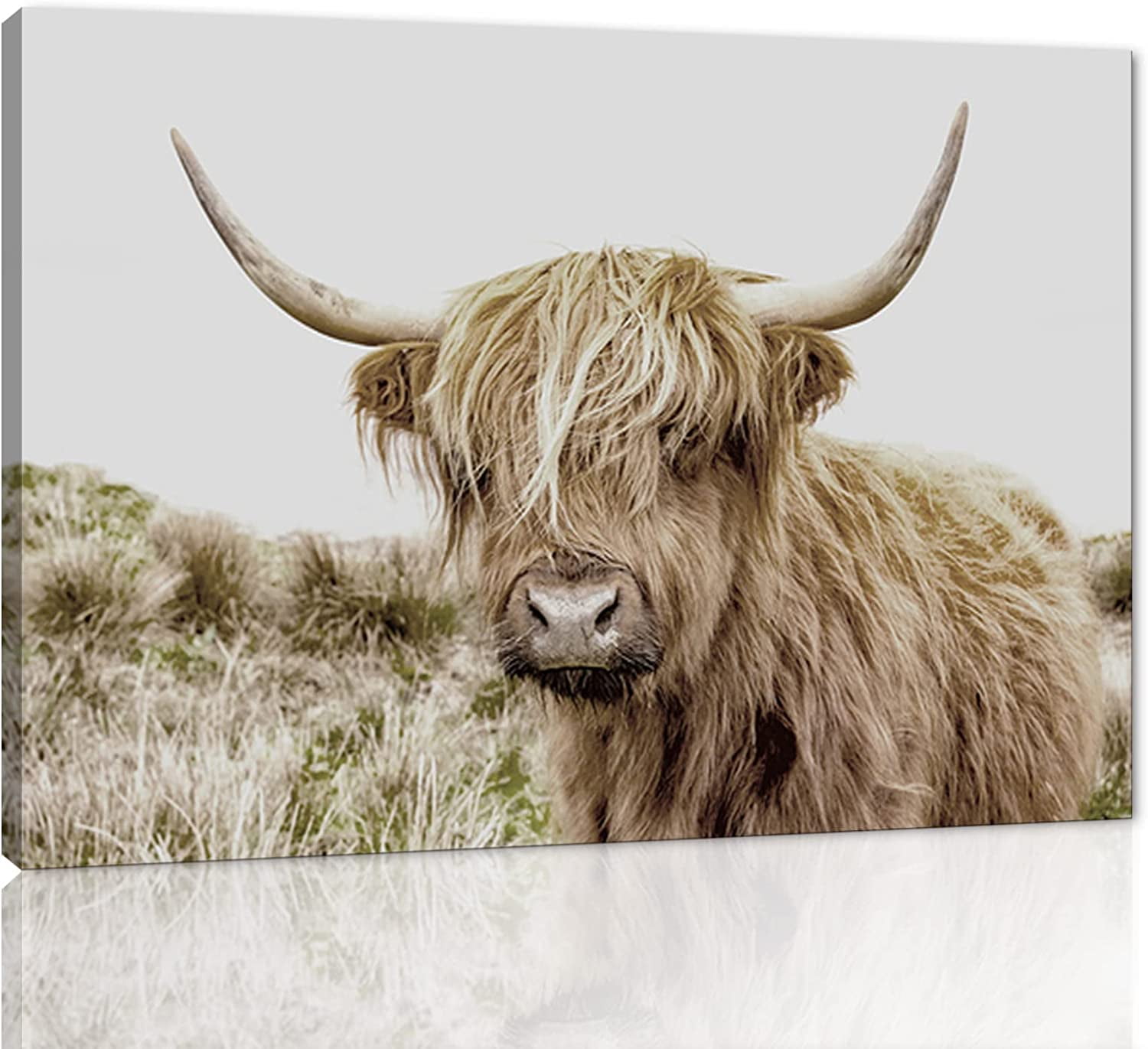 AAzaqTin-Highland Cow Wall Art Modern Small Size Canvas Print Poster ...