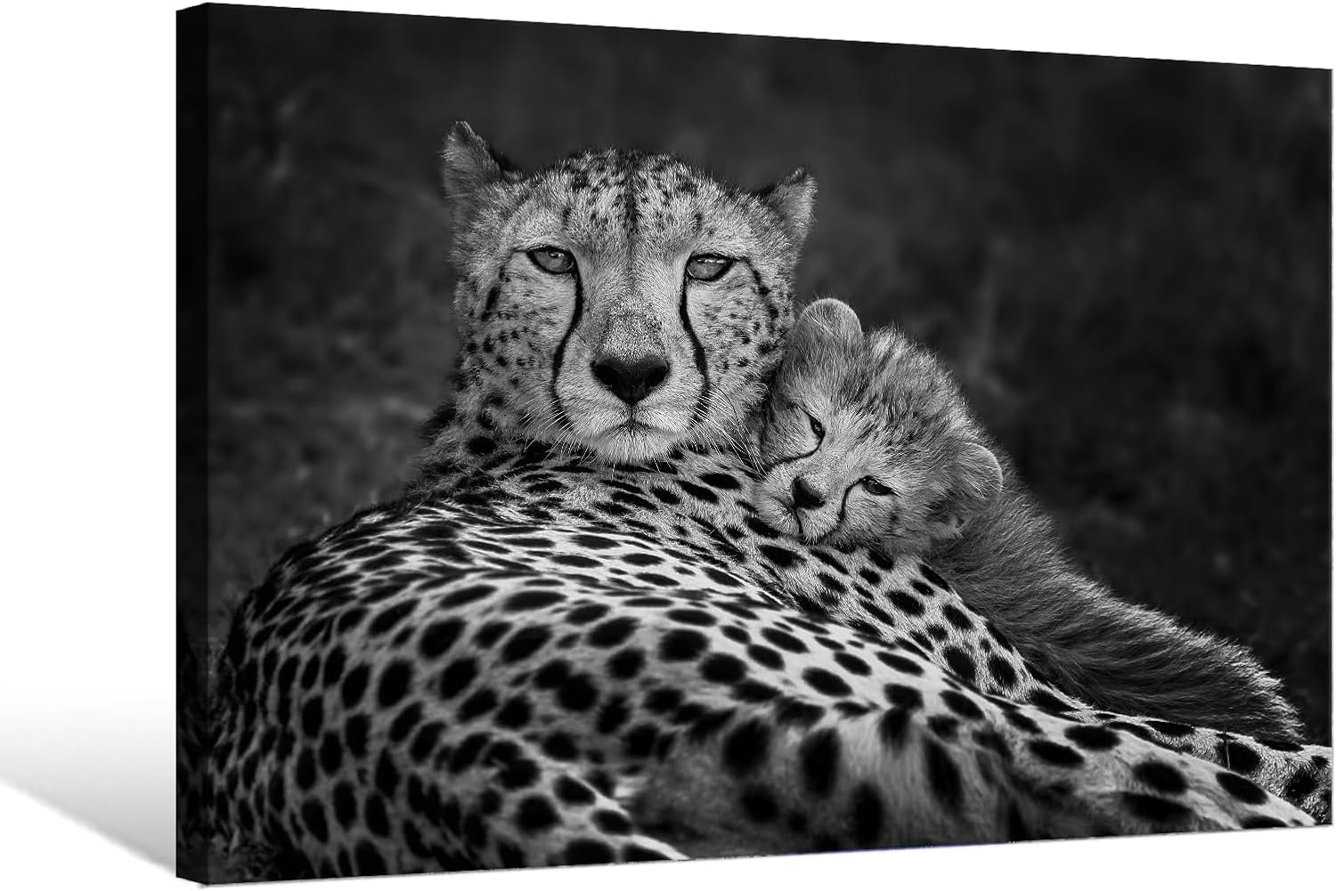 AAzaqTin-Leopard Canvas Wall Art Black and White Cheetah Painting ...