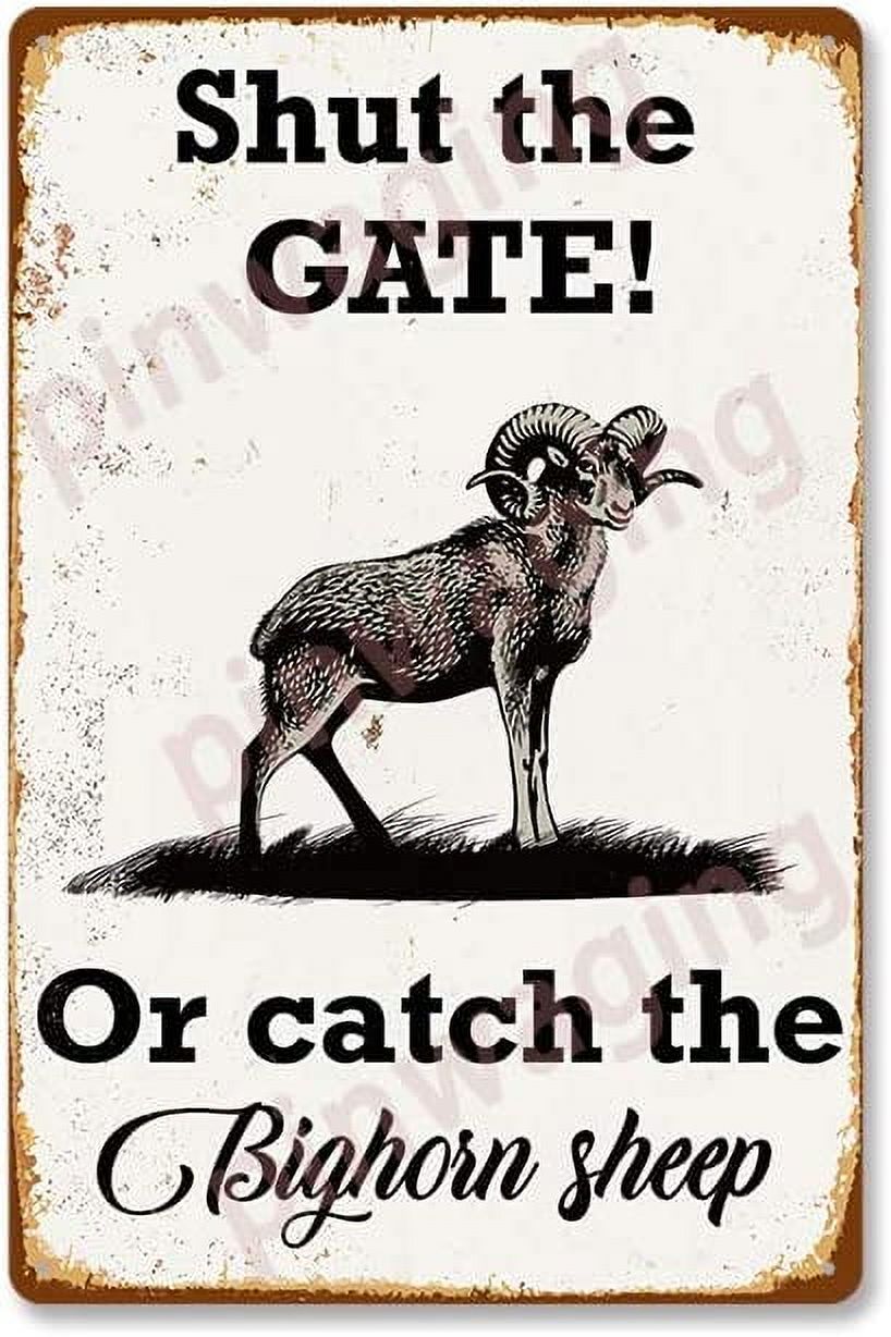 AAzaqTin Modern Art Metal Tin Sign- Shut The Gate Or Catch The Bighorn ...
