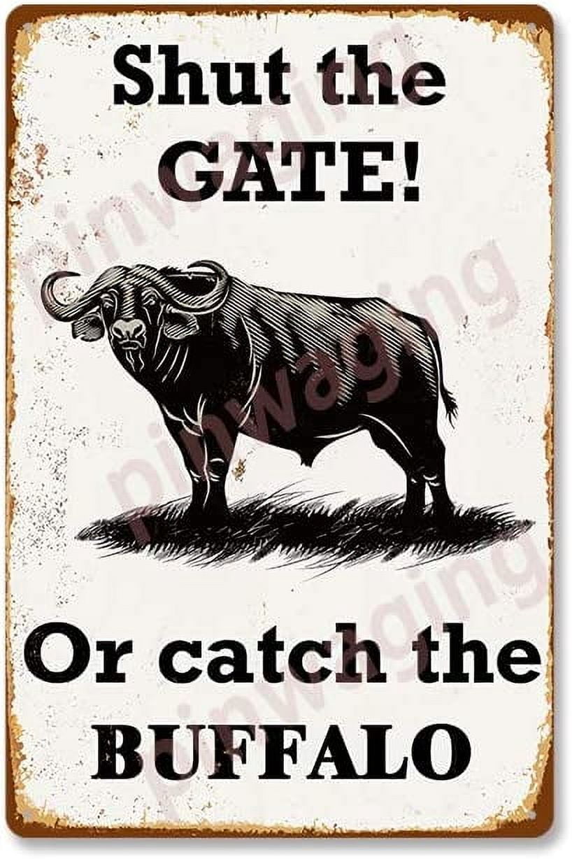 AAzaqTin Modern Art Metal Tin Sign- Shut The Gate Or Catch The Buffalo ...