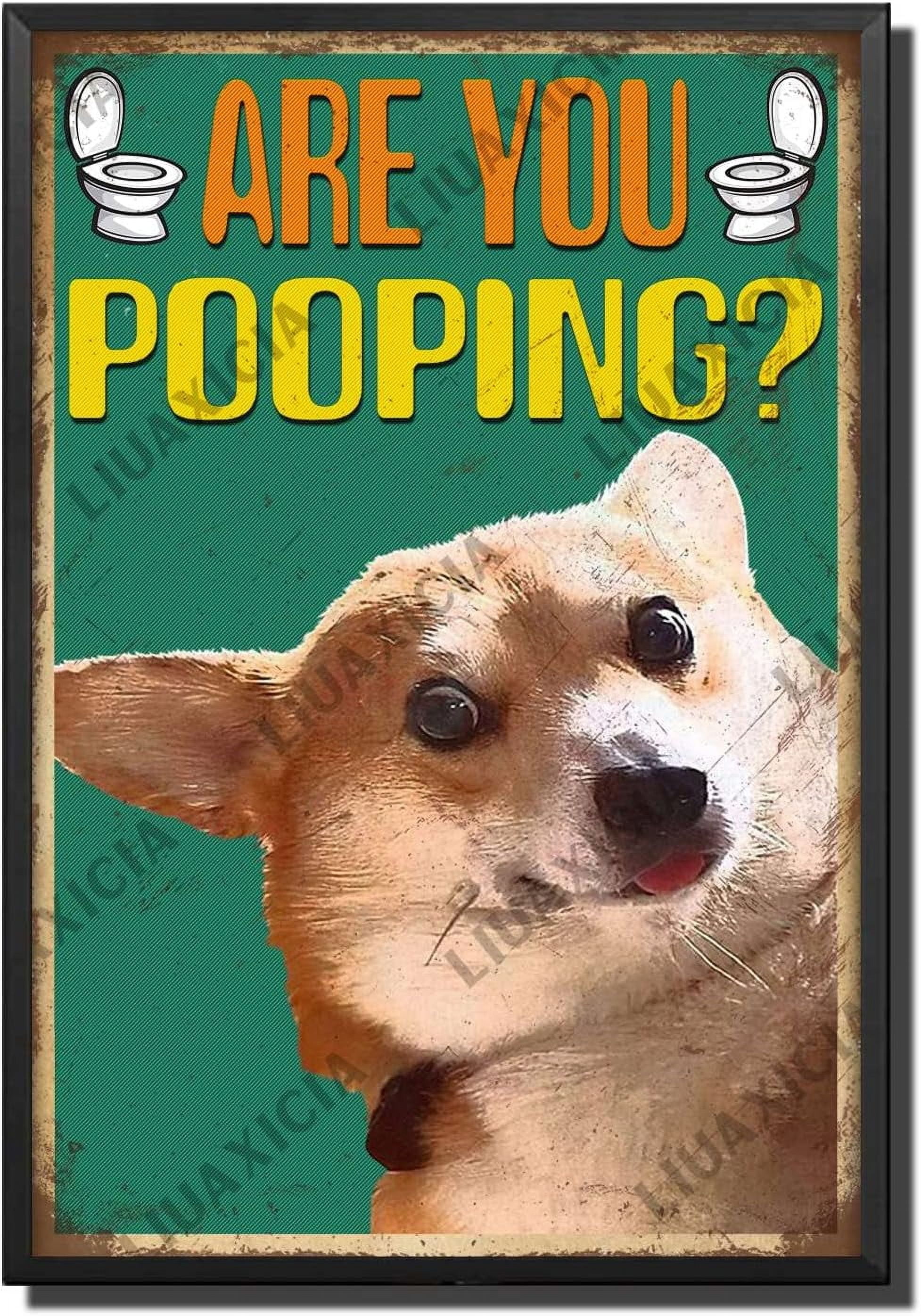 AAzaqTin Retro Decor Tin Sign are You Pooping Funny Corgi Bathroom ...