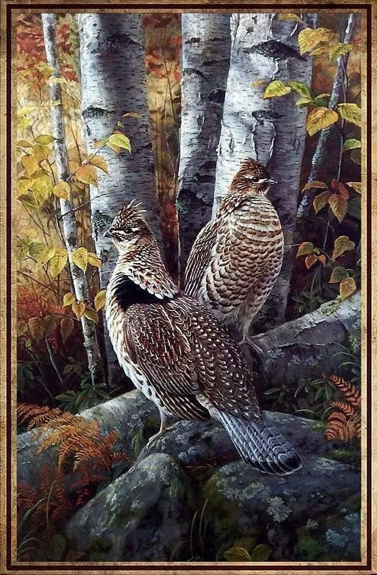 AAzaqTin-Vintage Paintings Canvas Wall Art Grouse Ruffed Wildlife ...