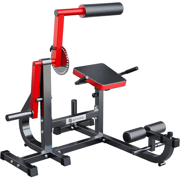 Back Extension Machine