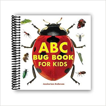 How to Draw Insects - Walmart.com