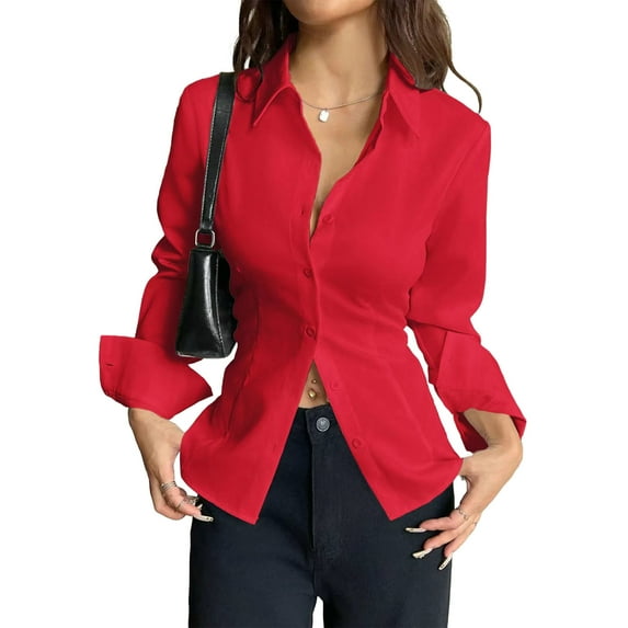 ABCDE Womens Button Down Long Sleeve Shirts Business Casual Fall ...