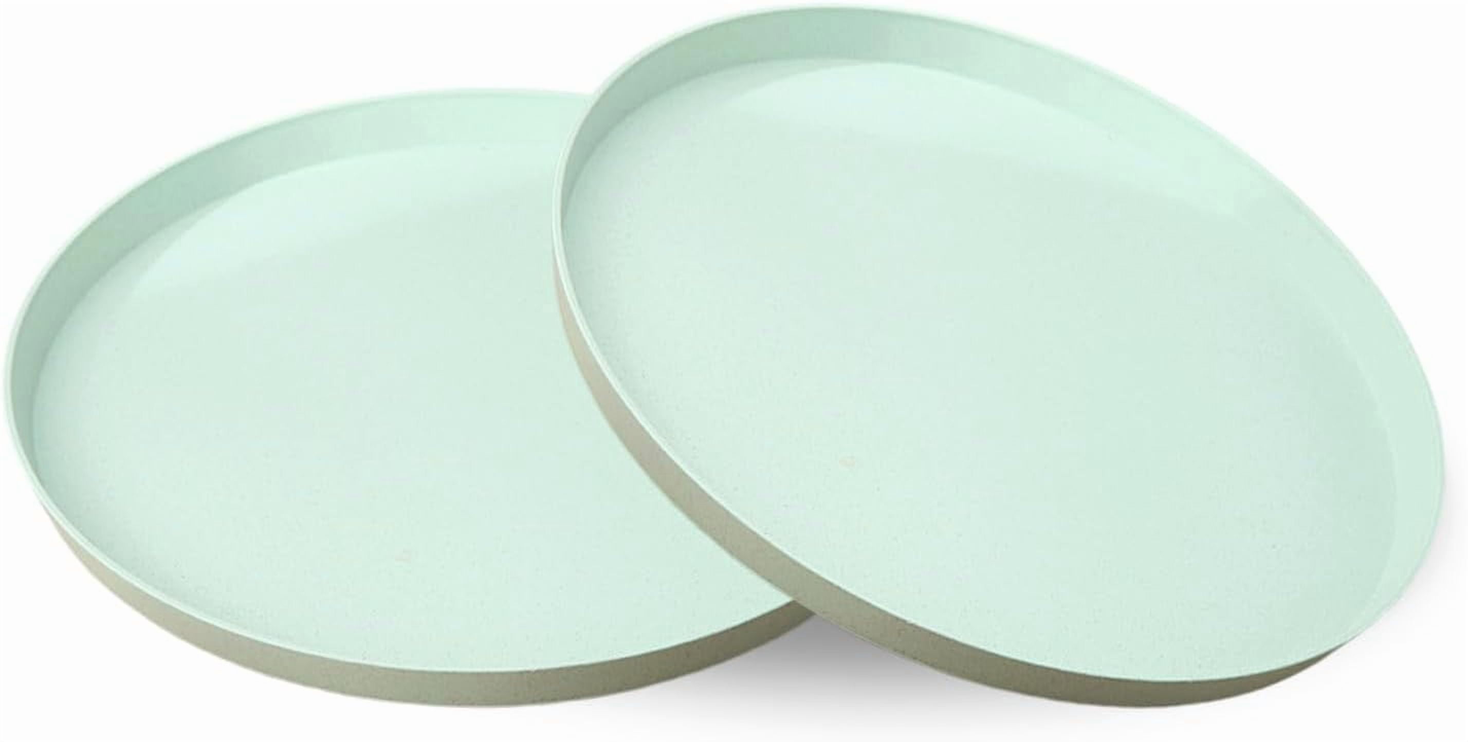 ABCISI 2 Pack Round Plastic Serving Tray Platter, 13 Inch Lightweight ...
