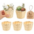 ABCISI 5Pcs Mini Woven Baskets, 3.54 Inch Small Bamboo Basket for ...