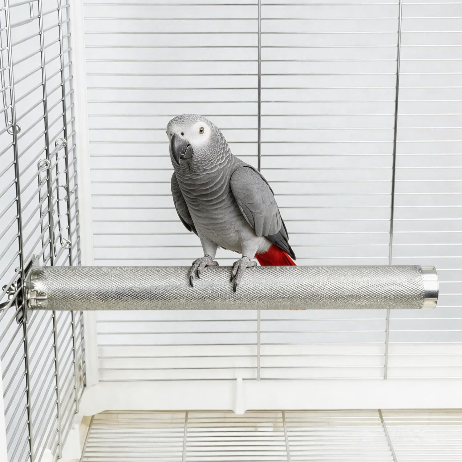 ABCISI Bird Perch, Stainless Steel Parrot Perch, Rough Surface Bird ...