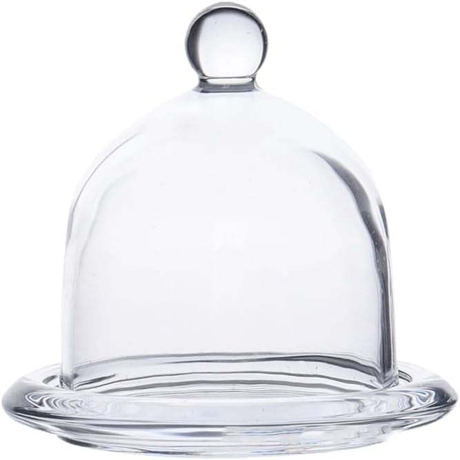 ABCISI Glass Cake Stand with Lid - 9x9cm Mini Cupcake Display Dome ...