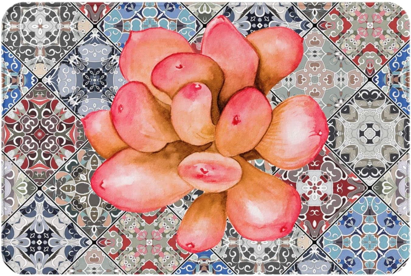ABOAKRL Bath Rugs Cute Succulent Plant Door Mat Outdoor Vintage Floral ...