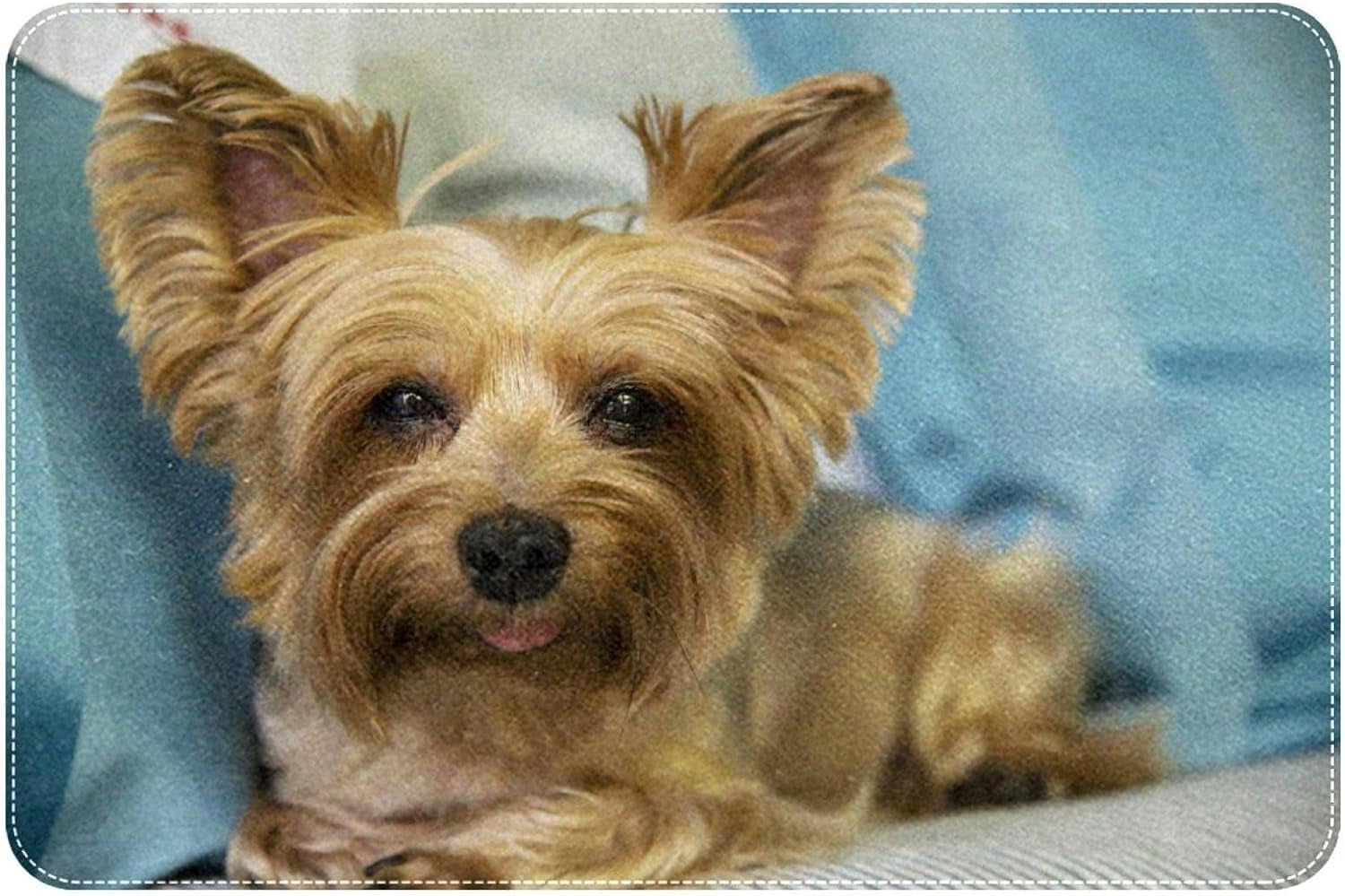 ABOAKRL Cute Small Dog Funny Doormat Home Decor Mats Indoor Doormat Non ...