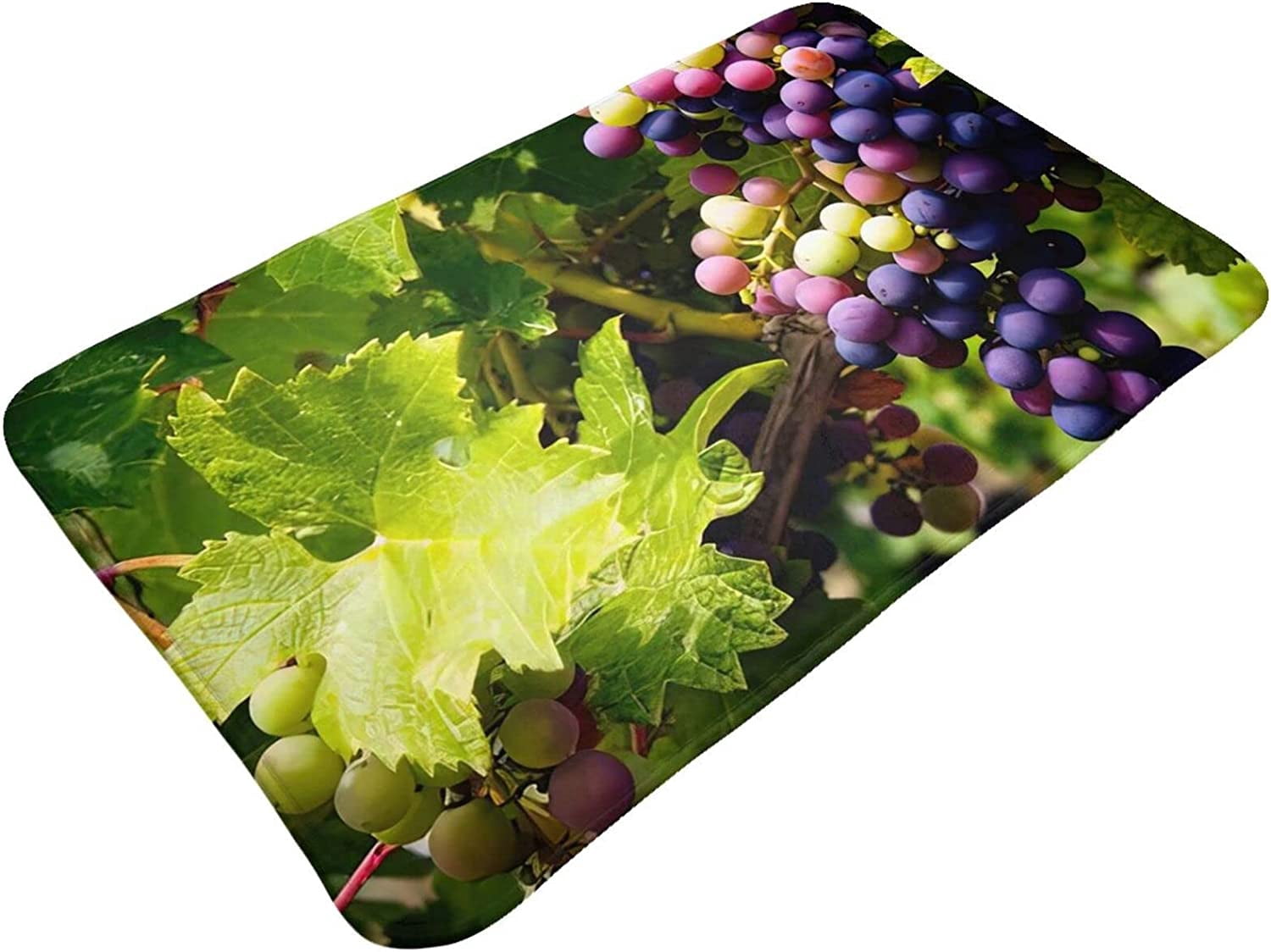 ABOAKRL Grape Drawing Funny Doormat Home Decor Mats Indoor Doormat Non ...