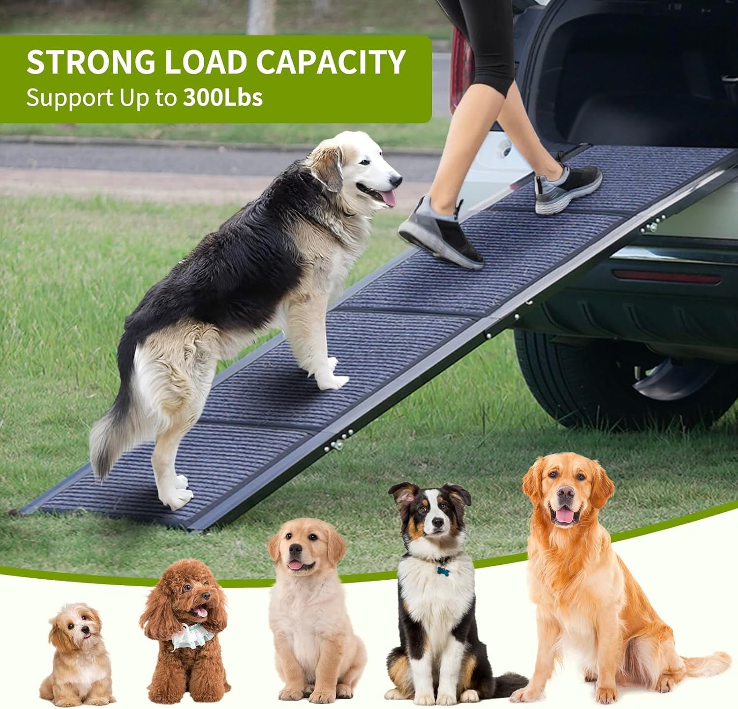 ABORON 63" Extra Long Dog Ramp for SUV Car, Folding Pet Ramp for Large ...