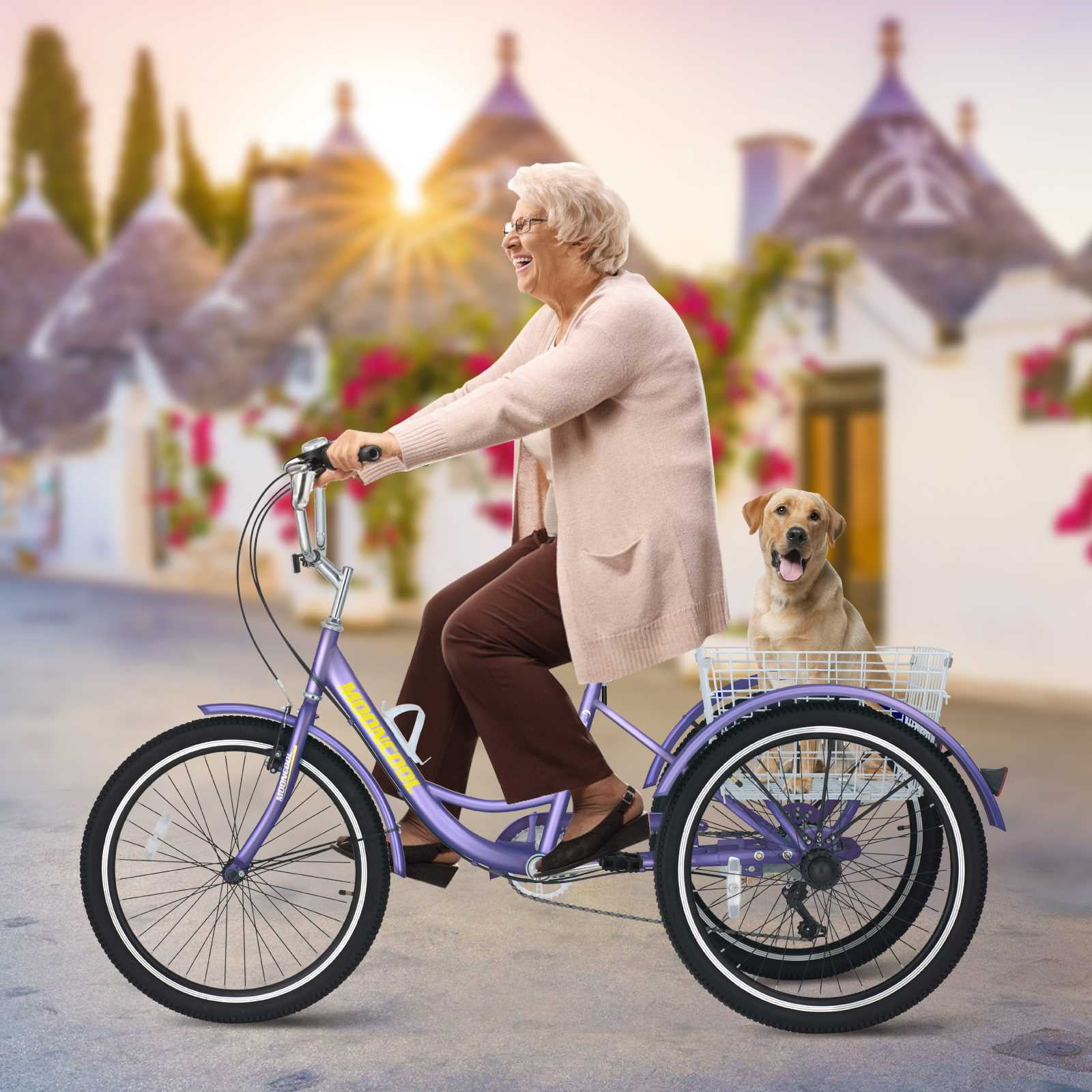 ABORON Adult Tricycles for Seniors 24 inch with Basket for Dog, 7 Speed ...