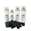 ABP Repair Paint 12 Oz Single Stage Color Compatible With Satin White ...