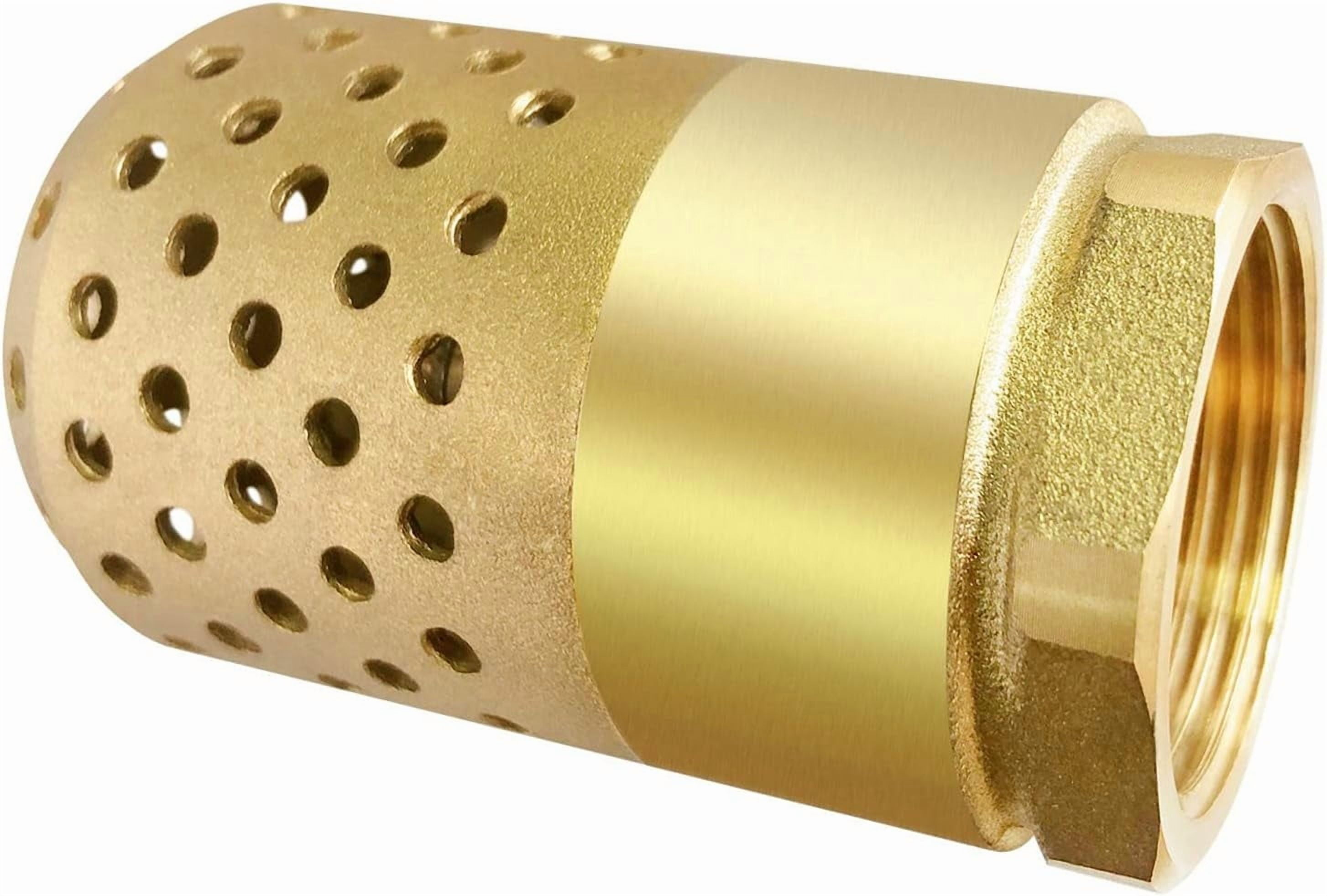 ABPETE Brass Foot Valve, 2 inch NPT Spring Mesh Check Valve Female ...