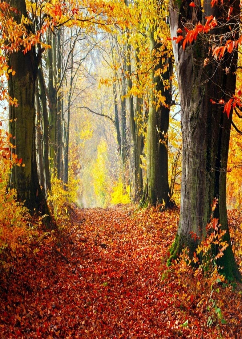 ABPHOTO 5x7ft Photography Backdrop Autumn Landscape Road Red Yellow ...