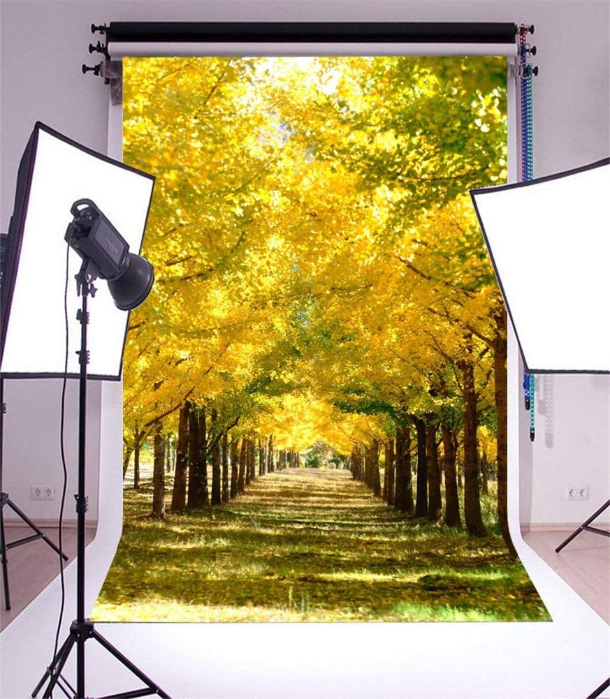 ABPHOTO 5x7ft Photography Backdrop Autumn Nature Ric Golden Leaves ...