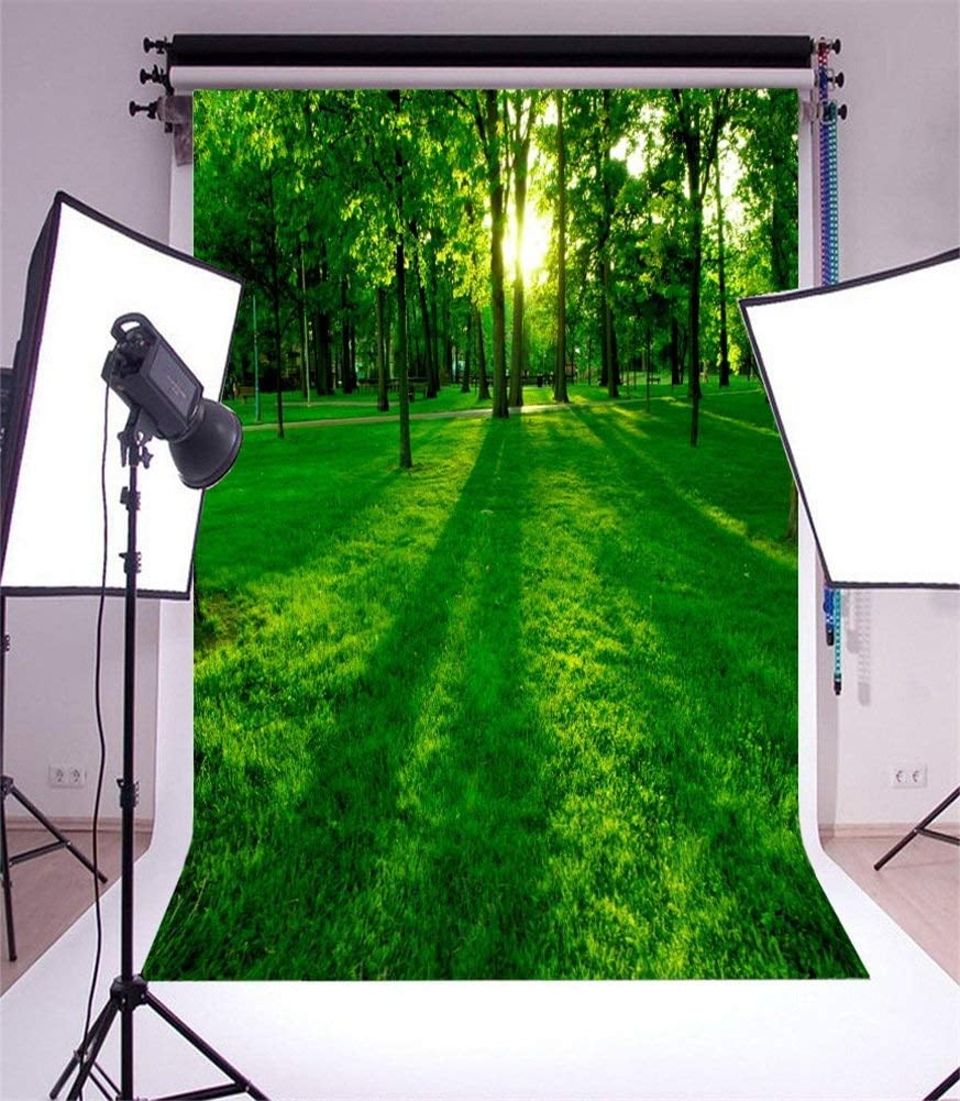 ABPHOTO 5x7ft Photography Backdrop Low Setting Sun in Green Park ...