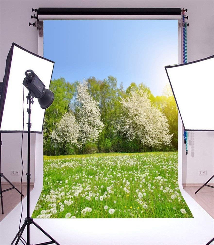 ABPHOTO 5x7ft Photography Backdrop Nature Blooming Taraxacum Ric Fancy ...