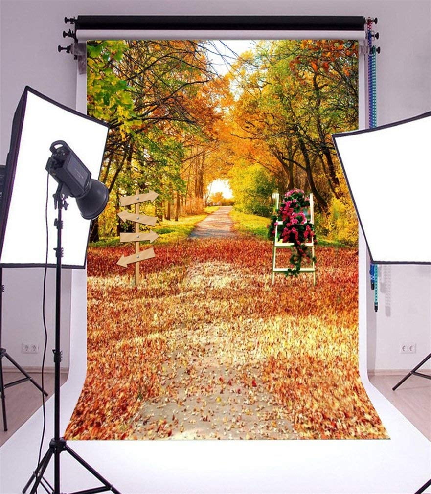 ABPHOTO 5x7ft Photography Backdrop Nature Golden Leaves Trees Wood Road ...