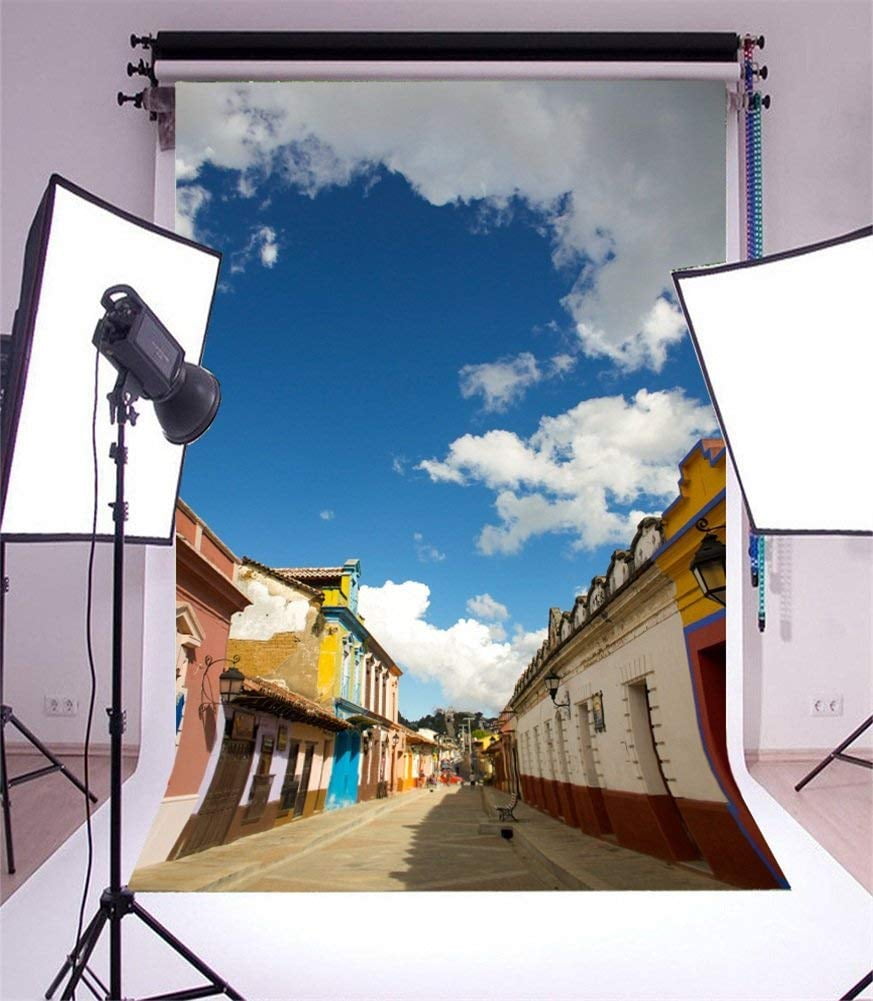ABPHOTO 5x7ft Photography Backdrop Nature Landscape Two Row House Small ...