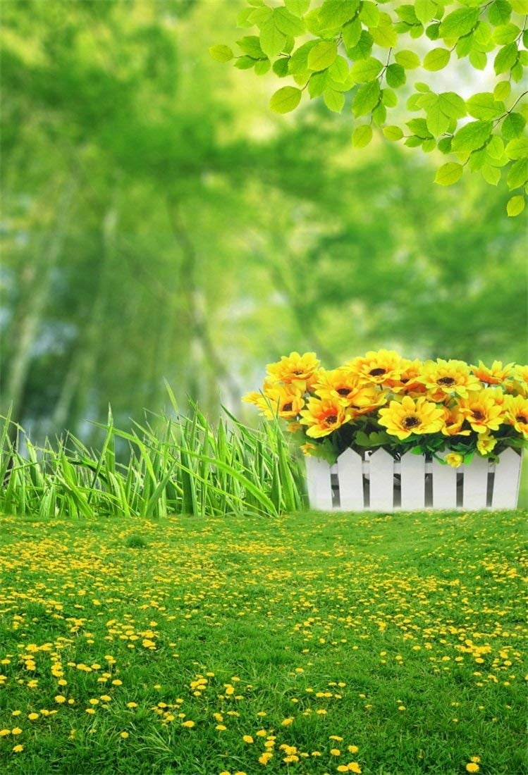 ABPHOTO 5x7ft Photography Backdrop Spring Landscape Green Grass Daisy ...