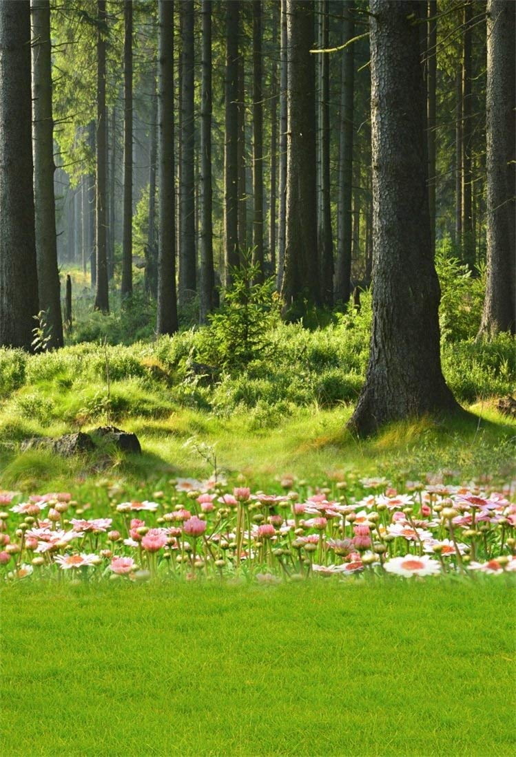 ABPHOTO 5x7ft Photography Backdrop Spring Landscape Green Grass Forest ...