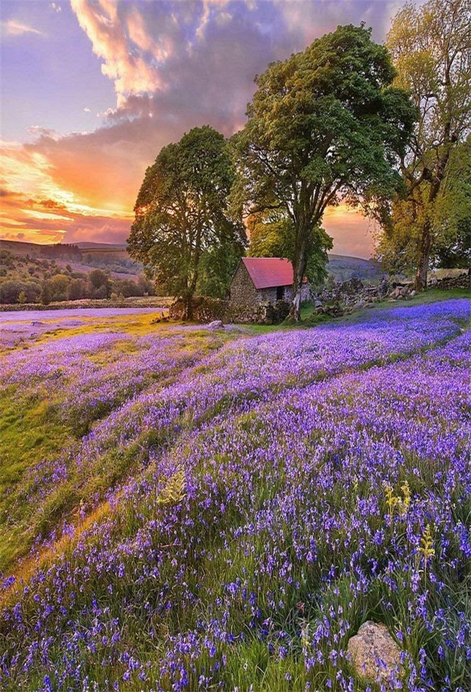 ABPHOTO 5x7ft Photography Backdrop Spring Landscape Lavender Field ...