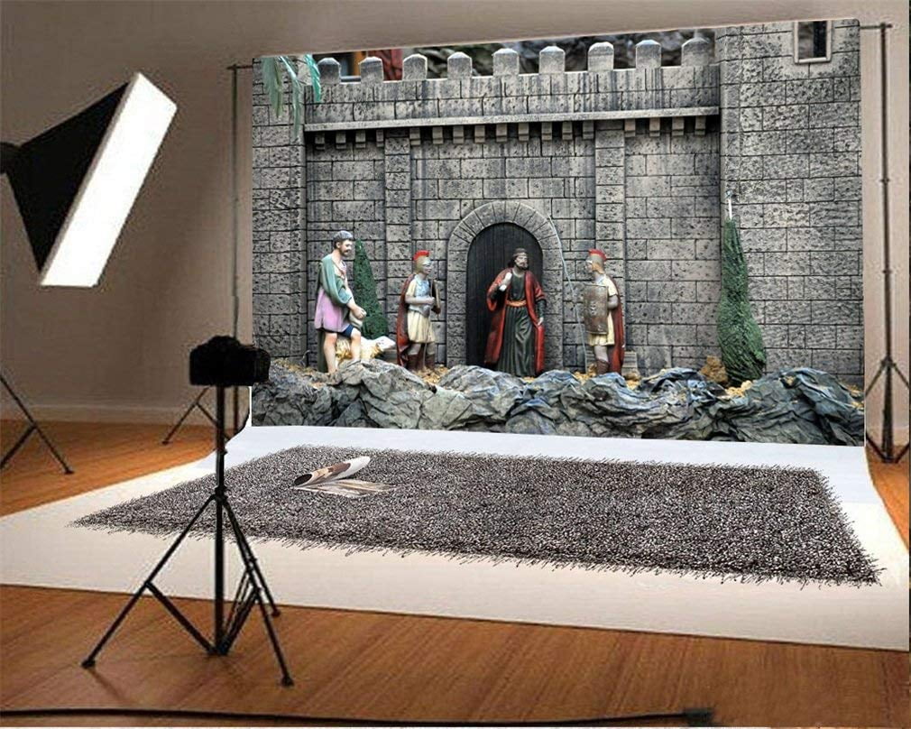 ABPHOTO 7x5ft Photography Backdrop Carving Statue Rock Stones Weathered ...