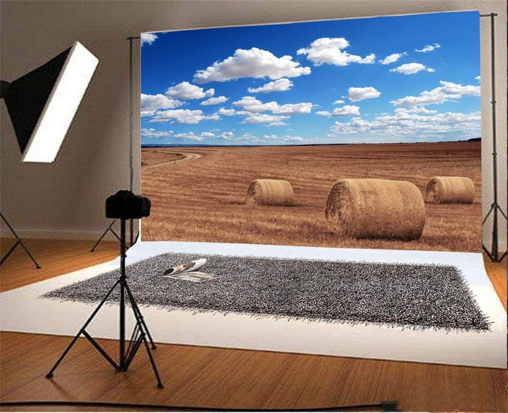 ABPHOTO 7x5ft Photography Backdrop Dry Rural Field with Hay Stacks ...