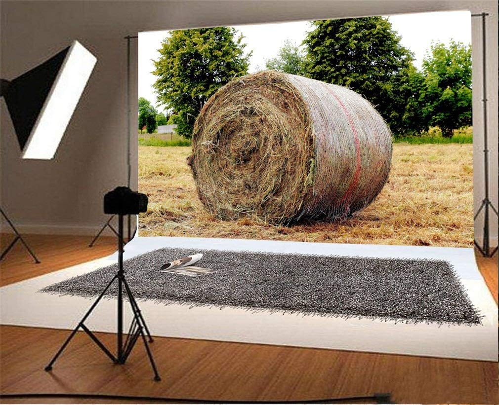ABPHOTO 7x5ft Photography Backdrop Dry Rural Field with Hay Stacks ...