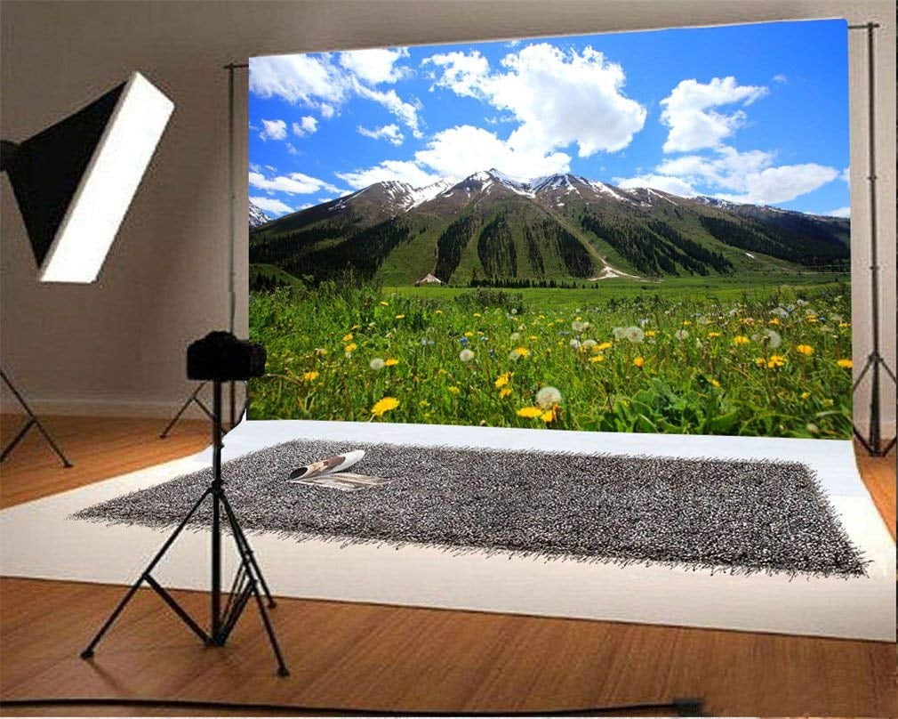 ABPHOTO 7x5ft Photography Backdrop European Mountain Flowers Grass ...