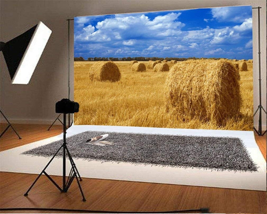 ABPHOTO 7x5ft Photography Backdrop Farmland Wheat Field Straw Hay Bale ...