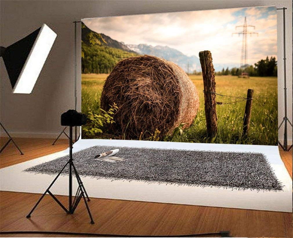 ABPHOTO 7x5ft Photography Backdrop Farmland Wheat Field Straw Hay Bale ...