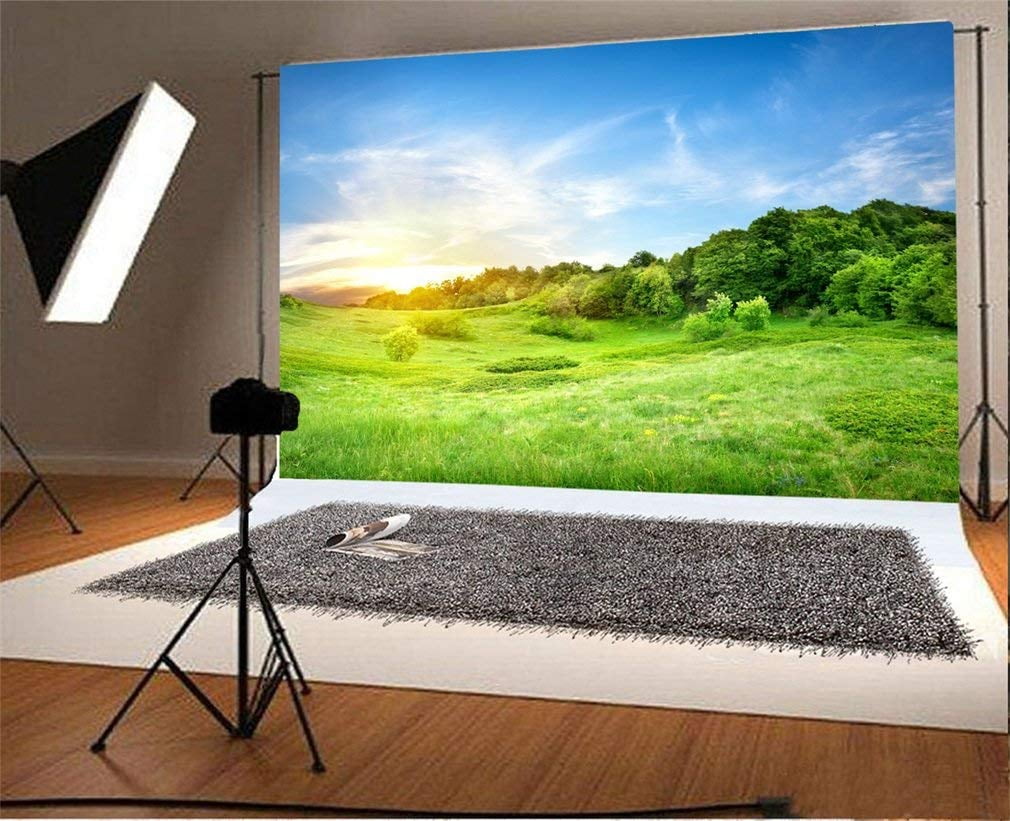 ABPHOTO 7x5ft Photography Backdrop Green Grass Field Forest Blue Sky ...