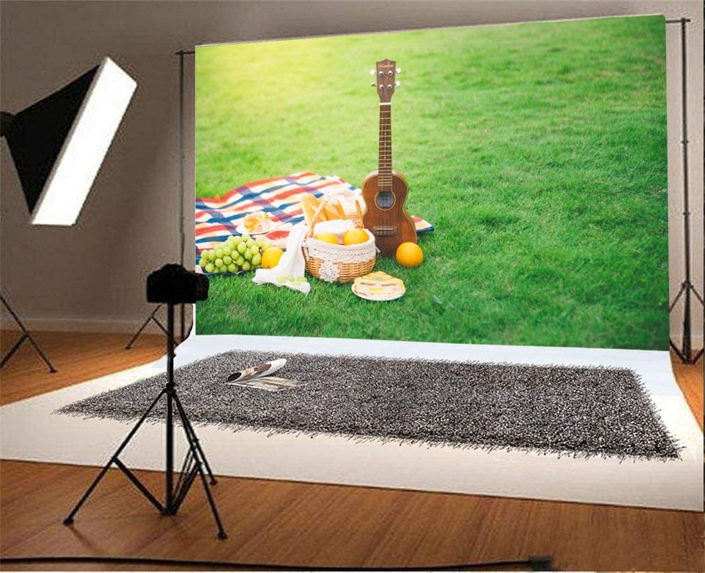 ABPHOTO 7x5ft Photography Backdrop Musical Instrument with Fruit in ...