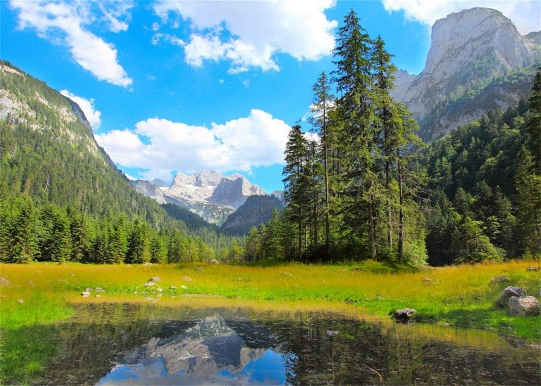 ABPHOTO 7x5ft Photography Backdrop Nature Landscape Outdoor Mountain ...