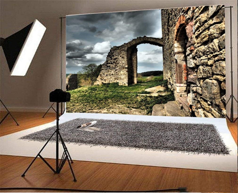 ABPHOTO 7x5ft Photography Backdrop Nature Ruined House Stone Brick Wall ...