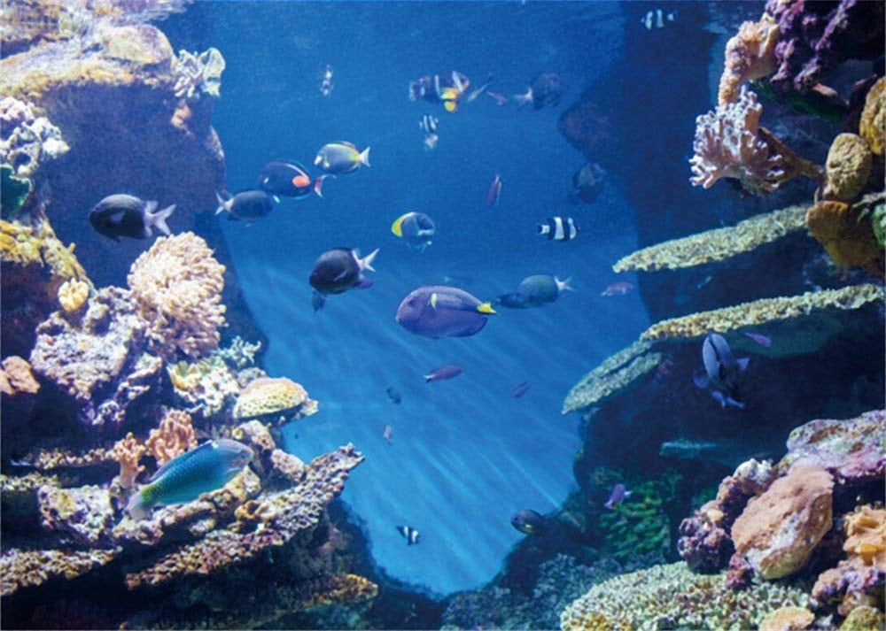 ABPHOTO 7x5ft Undersea World Backdrop Rock Stones Fish Coral Blue Sea ...