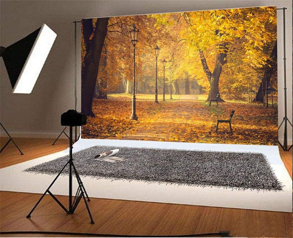 ABPHOTO 7x5t Photography Backdrop Bench in Autumn Park Yellow Leaves ...