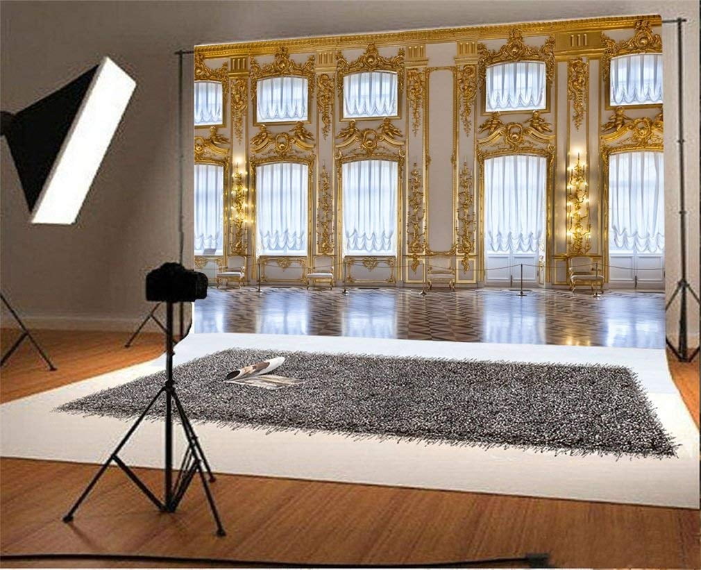 ABPHOTO 7x5t Photography Backdrop Interior European Palace French Sash ...