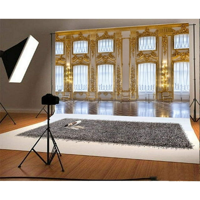 ABPHOTO 7x5t Photography Backdrop Interior European Palace French Sash ...