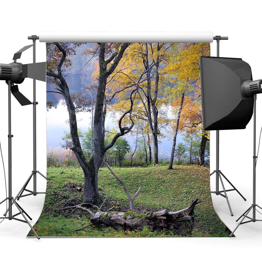 ABPHOTO Polyester 5x7ft Autumn Backdrop Jungle Forest Backdrops River ...