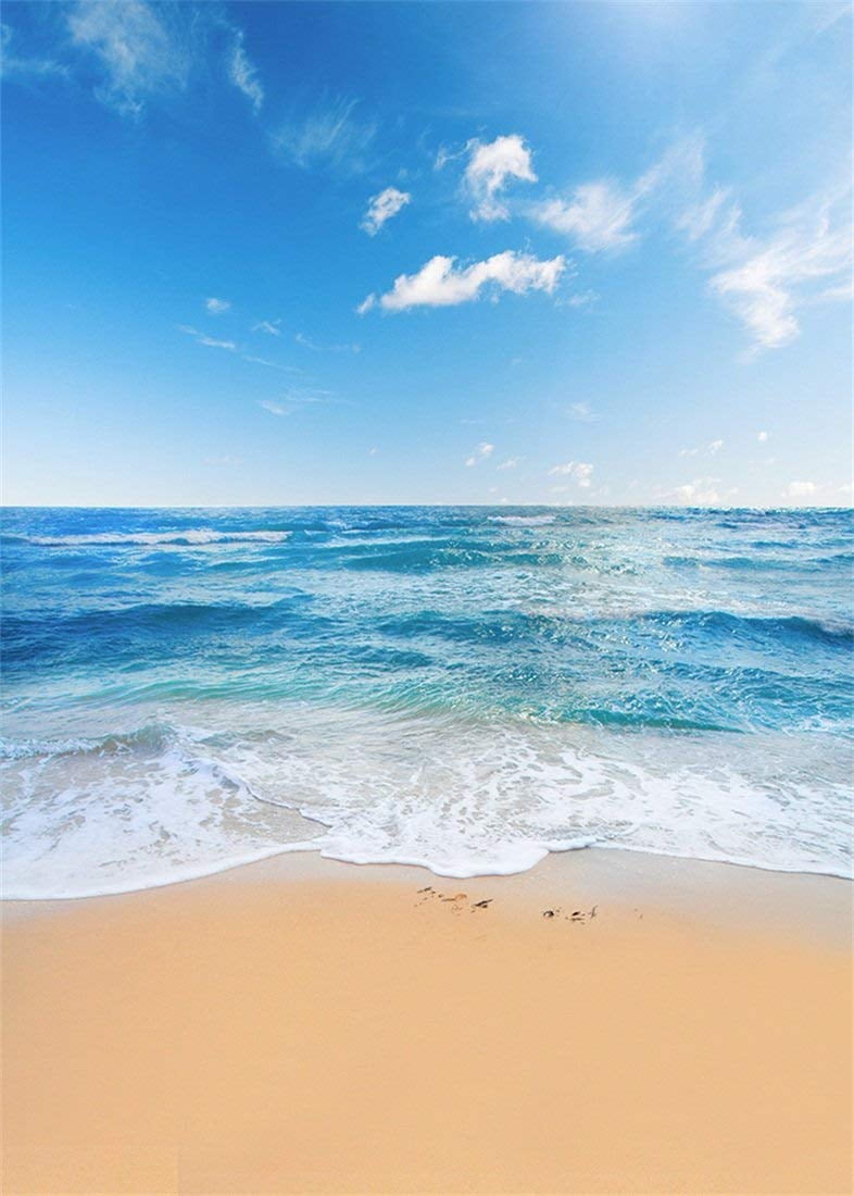 ABPHOTO Polyester 5x7ft Beach Photo Backdrop Seaside Landscape Blue Sky ...