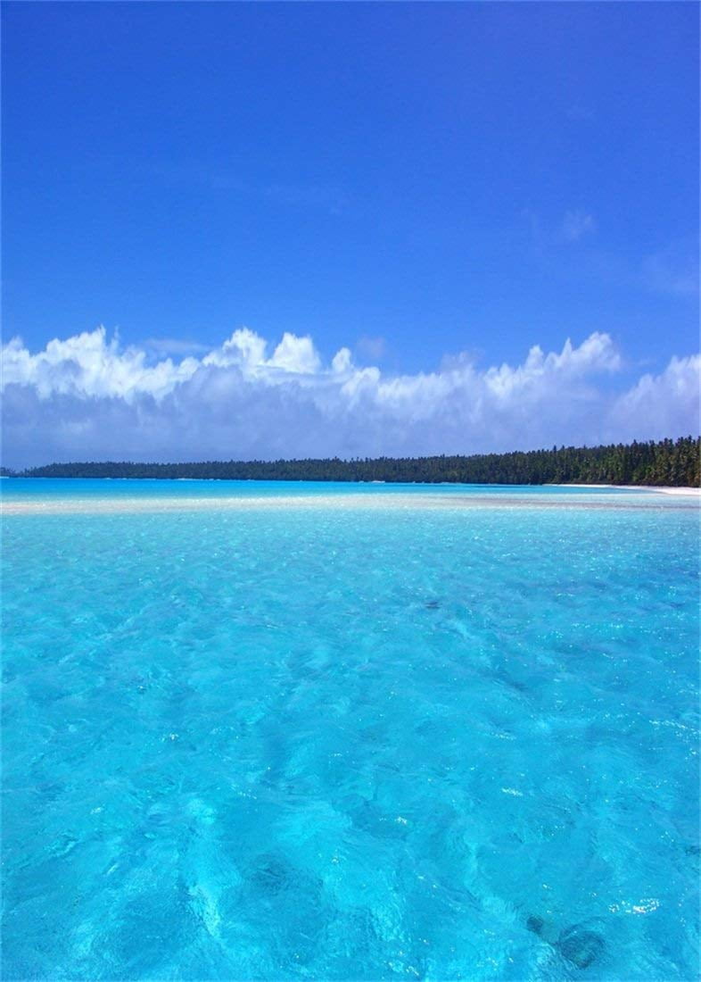 ABPHOTO Polyester 5x7ft Beach Photo Backdrop Seaside Landscape Blue Sky ...