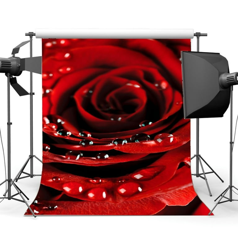 Real Red Rose Backdrop Selection Online | www.pinnaxis.com